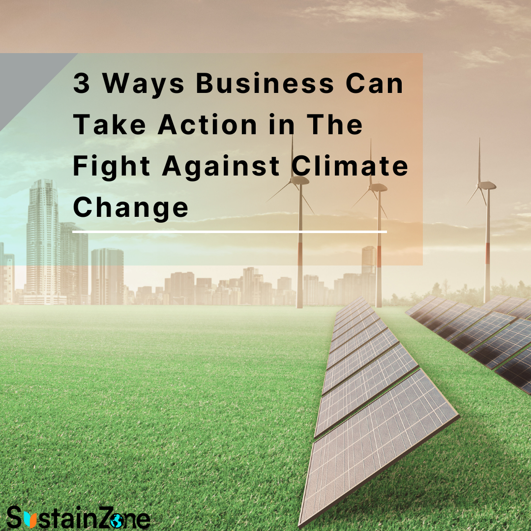 3 Ways Business Can Take Action in The Fight Against Climate Change ...